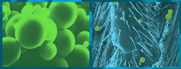 ZC Formulation in Pesticides - Professional Pest Manager