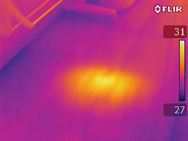 Thermal Imaging and Pest Control - Professional Pest Manager
