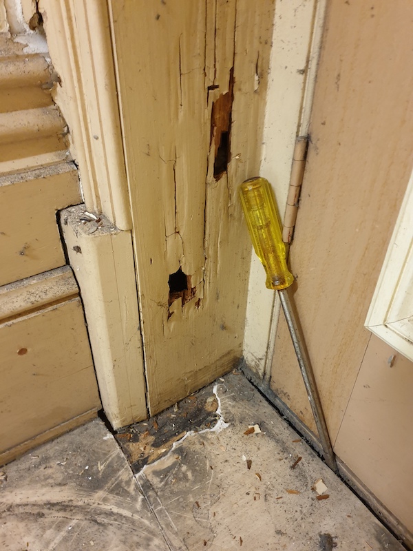 Termite Inspection Challenges in Heritage Buildings - Professional Pest ...