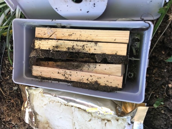 THE COMPLETE TERMITE BAITING SYSTEM - Professional Pest Manager