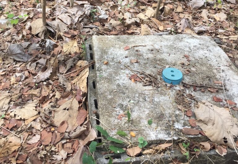 Termite soil treatment Articles - Professional Pest Manager