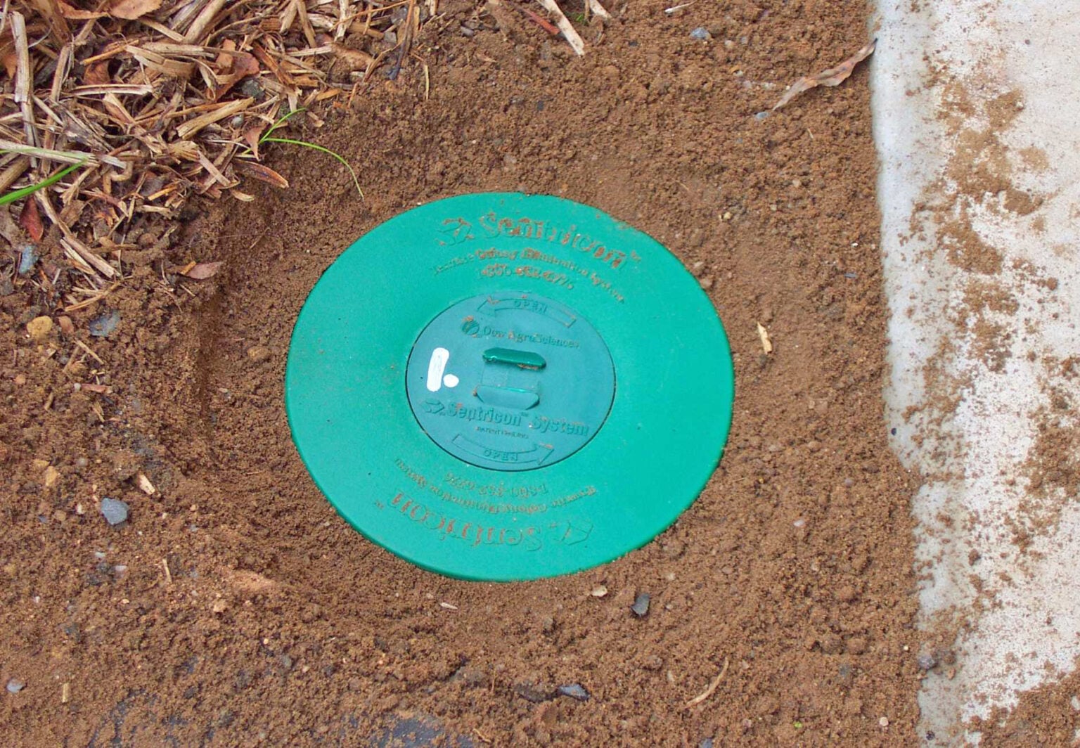 Tips on Installing In-ground Termite Baits to Maximise Hits ...