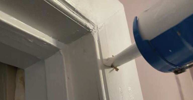 Termite Baiting Research - Professional Pest Manager